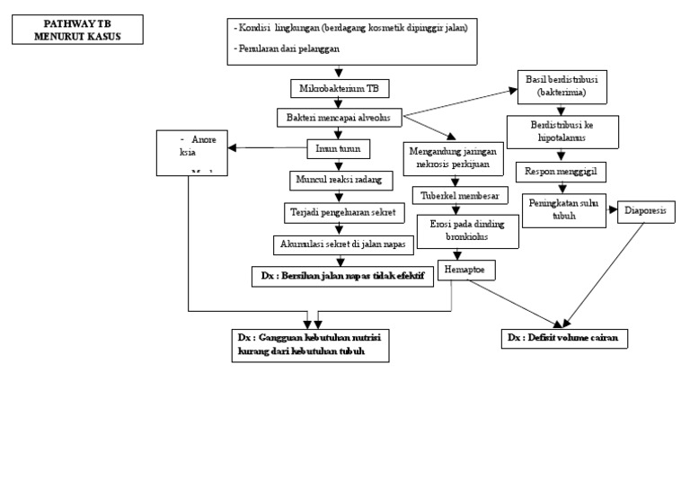 Pathway TB Menurut Kasus