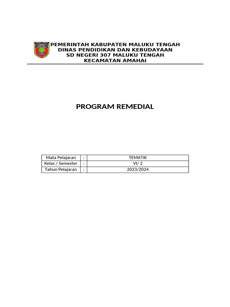 program remedial | PDF