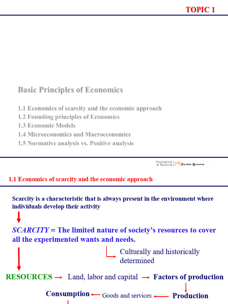 Basic Principles of Economics-7 | PDF