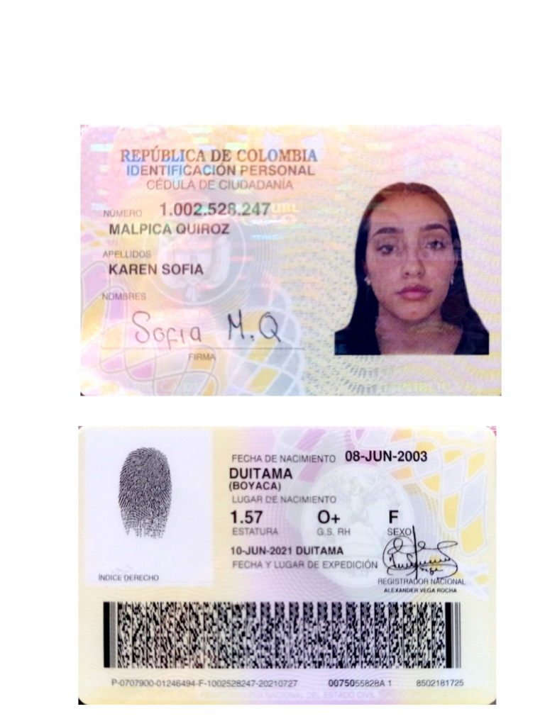 Karen Malpica Cedula | PDF