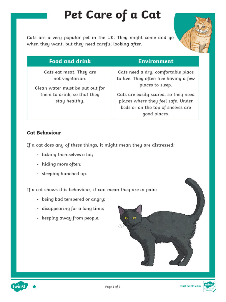 KS2 Pet Care of A Cat Differentiated Reading Comprehension Activity | PDF