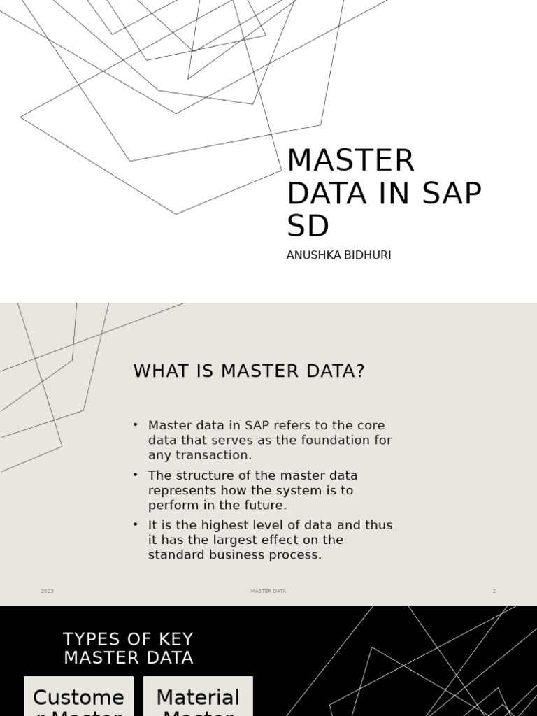 Master Data | PDF