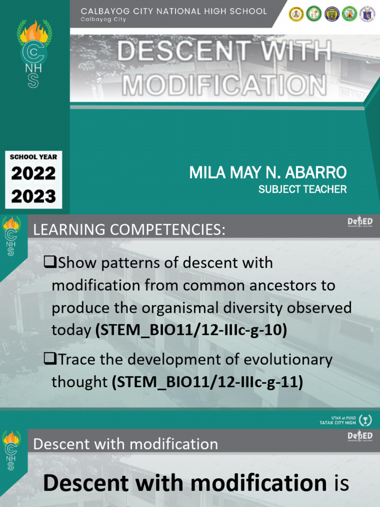 Week 3 Descent With Modification | PDF