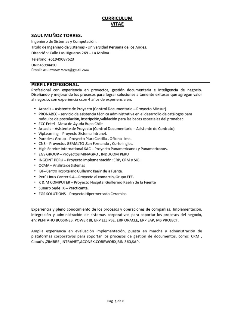 CV Saul Muñoz | PDF
