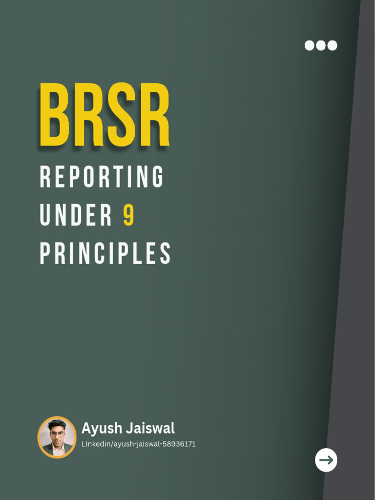 BRSR 9 Principles 1727902896 | PDF