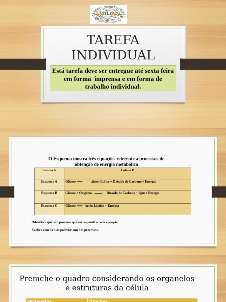 Tarefa Individual. | PDF