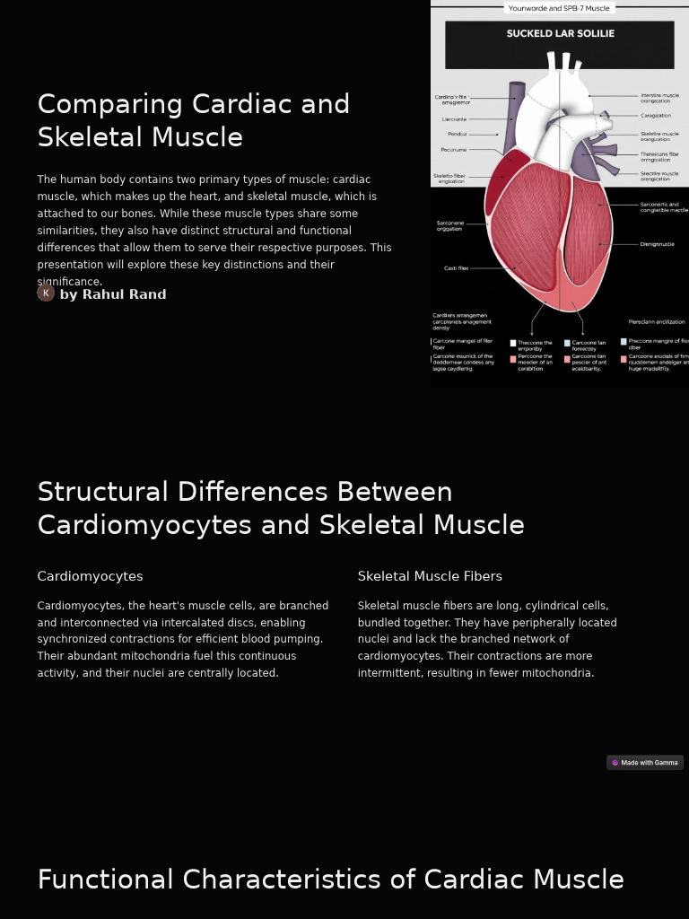 Comparing Cardiac and Skeletal Muscle | PDF