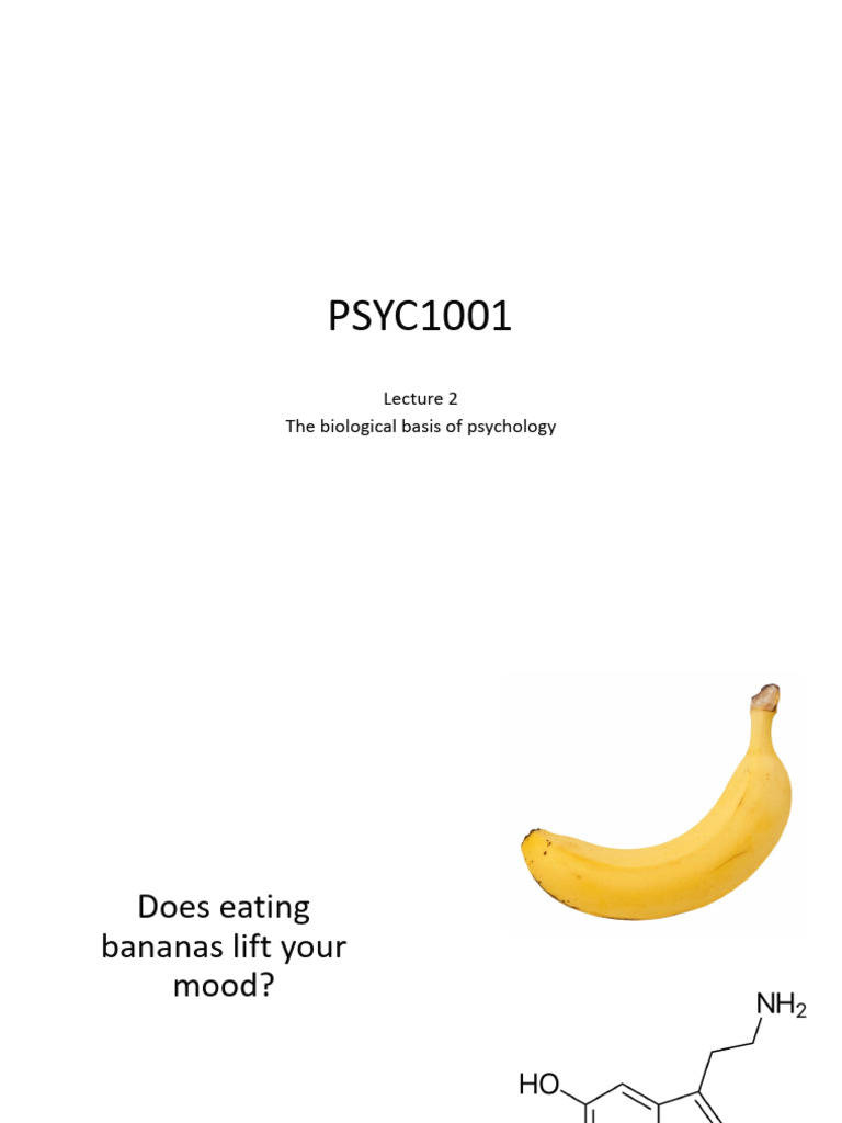 PSYC1001 Lecture 2 | PDF