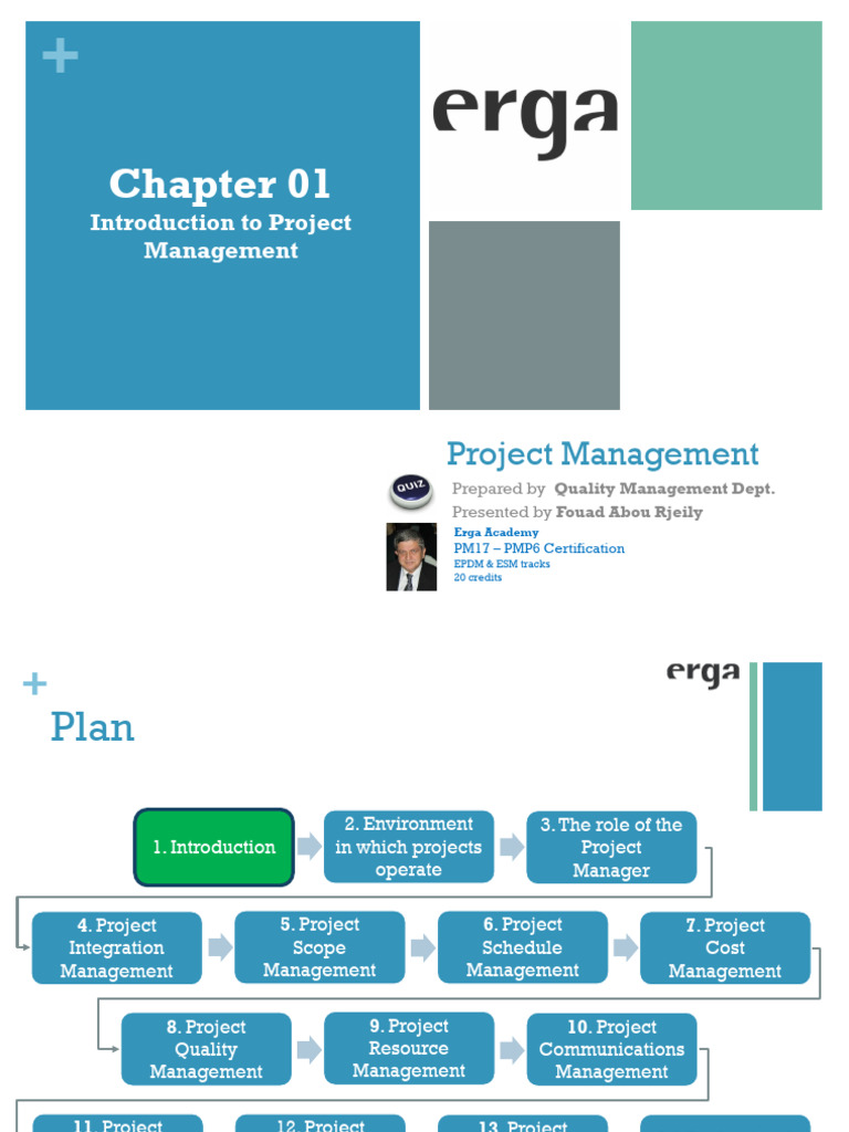 PM17 PMP6 Ch01 Introduction | PDF