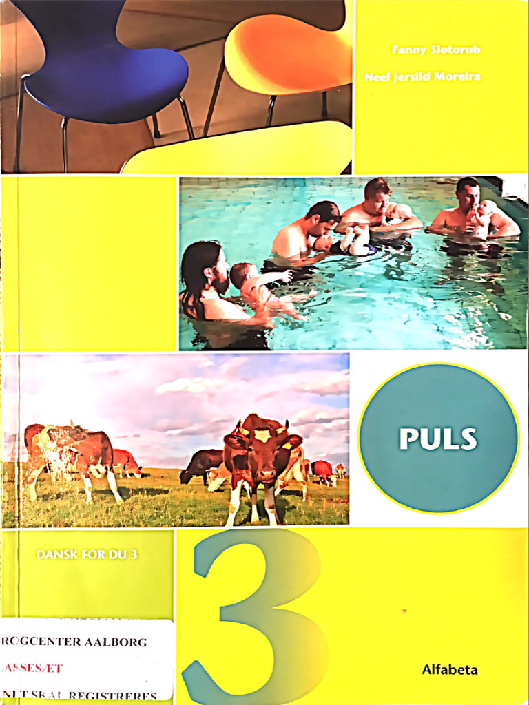 Puls 3 | PDF
