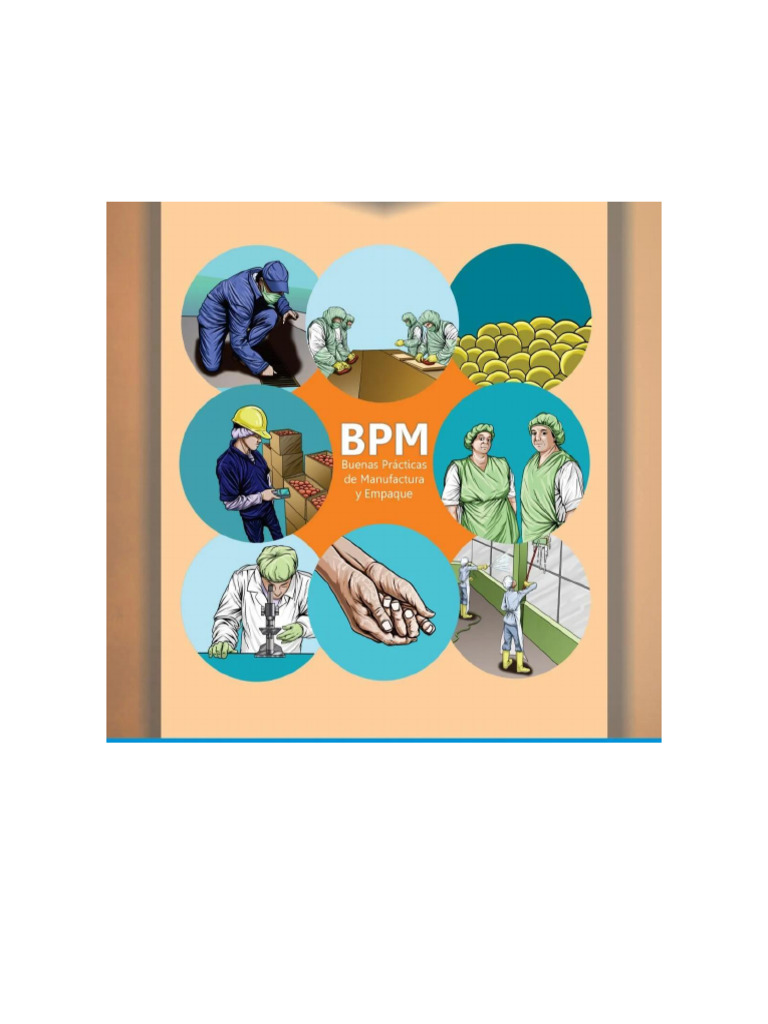 Manual de Buenas Practicas de Manufactura (BPM) | PDF