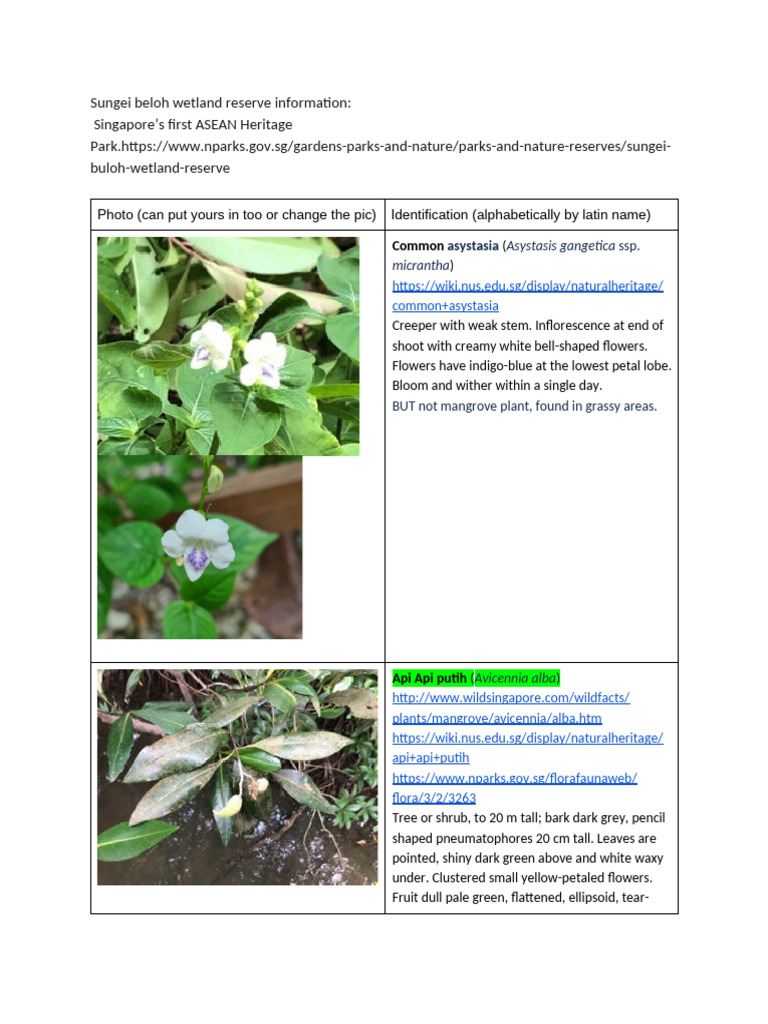GES1021 List of Flora and Fauna From Sungei Buloh - Notes | PDF