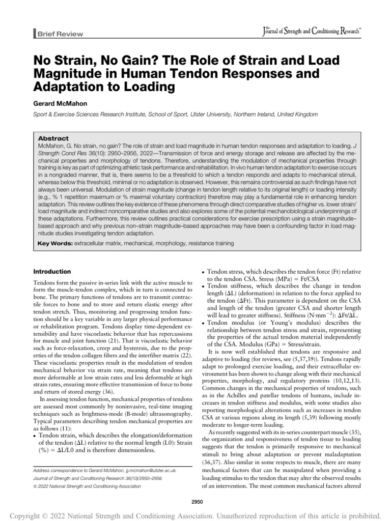 How Tendons Adapt | PDF
