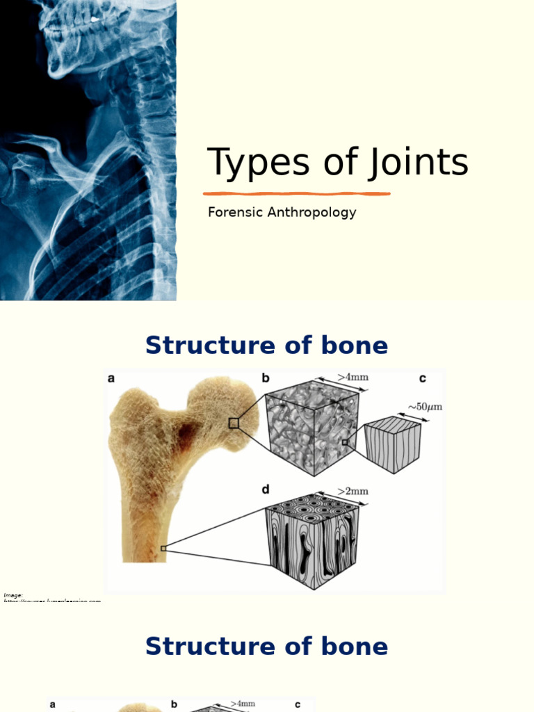 Types of Joints ST | PDF