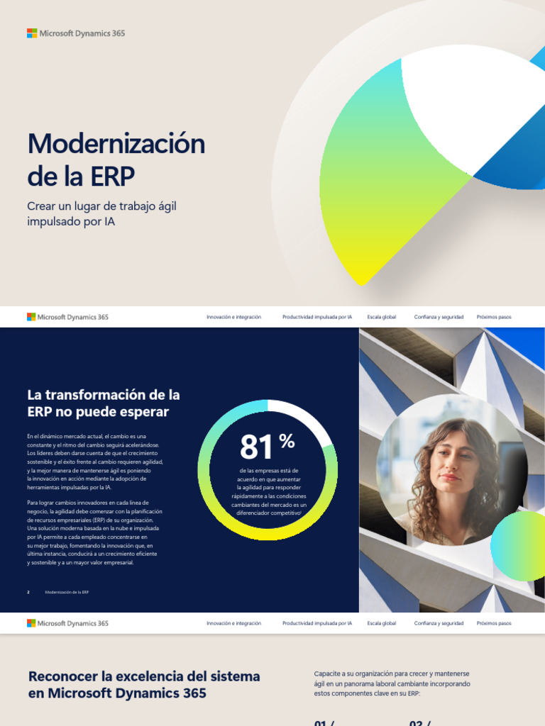 Modernización de La ERP | PDF