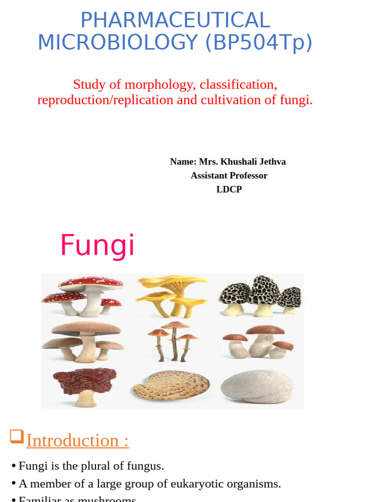 Fungi | PDF