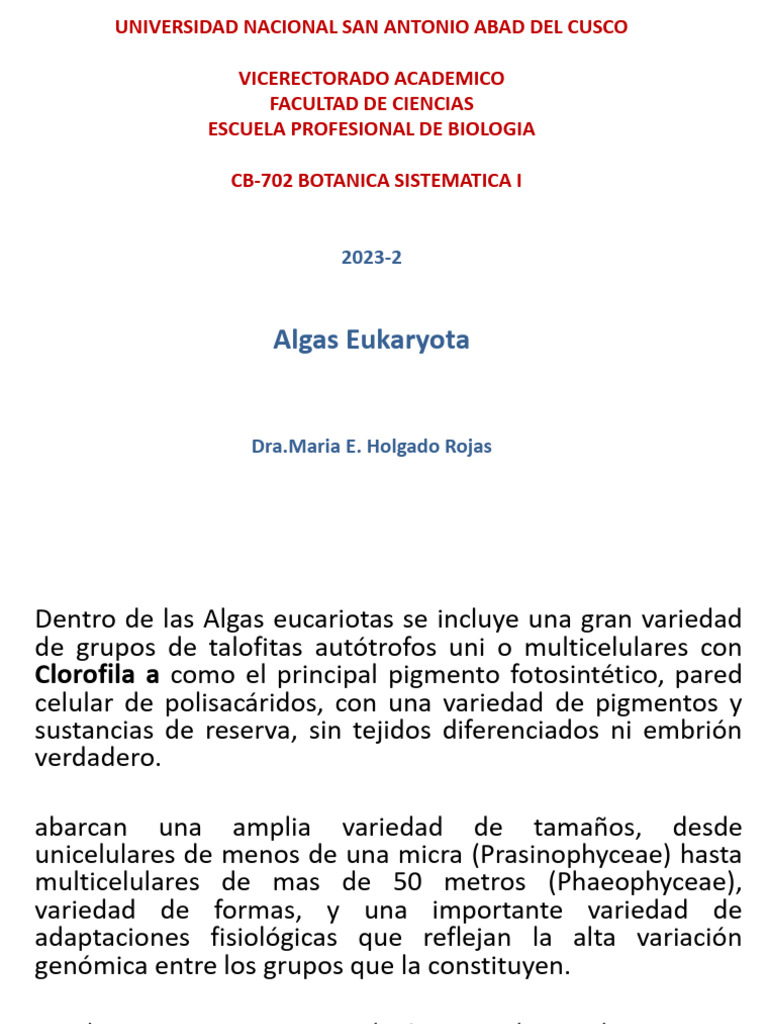 BOTANICA SISTEMATICA I CB 702 - Parte III | PDF