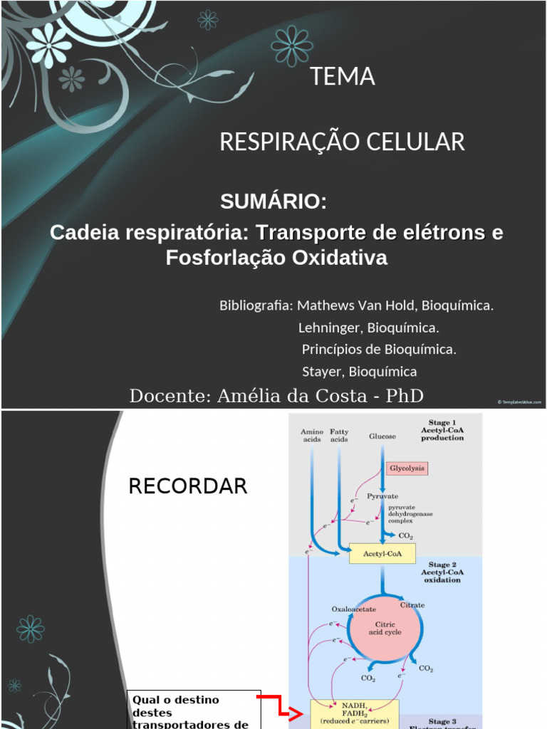 Cadeia Respiratória e FOSF OXIDATIVA - Set - PIAGET-2018 | PDF