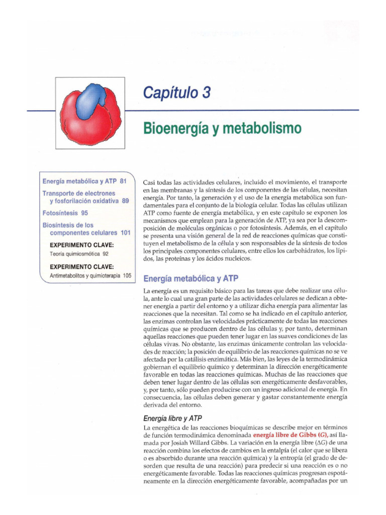 Cooper Cap 3 | PDF