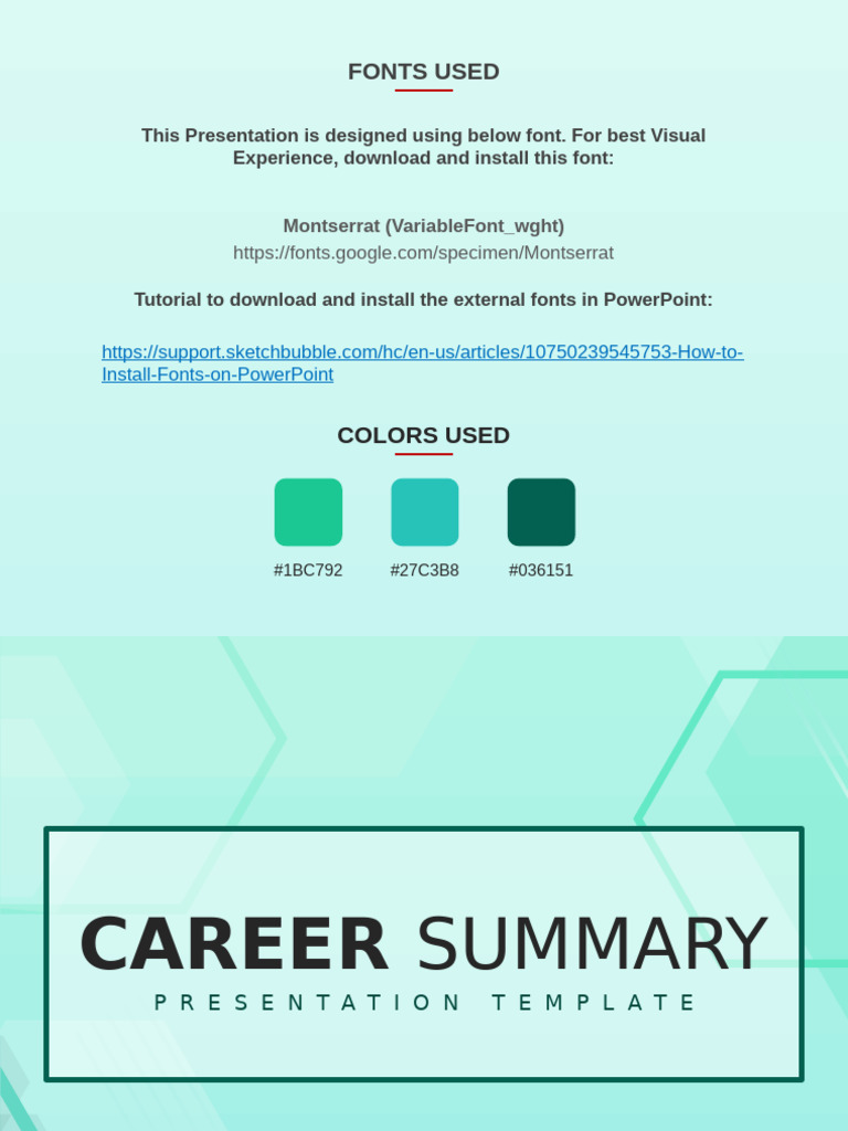 Career Summary Static 4x3 | PDF