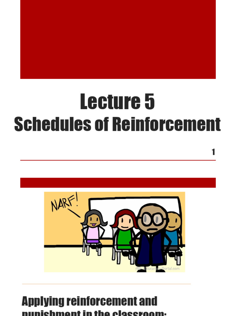 5 Schedules of Reinforcement and Choice Behavior | PDF