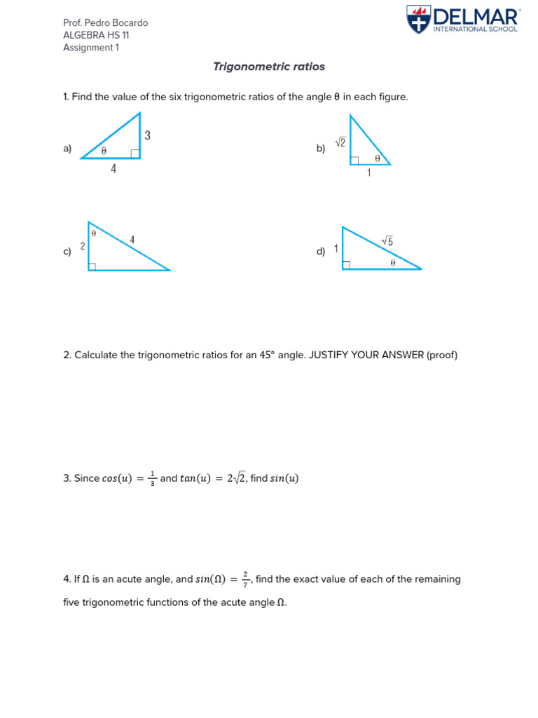 Assignment 1_ Trigonometric ratios | PDF