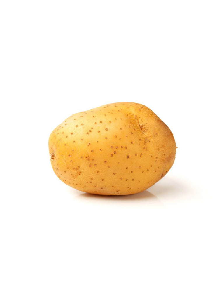 Potato | PDF