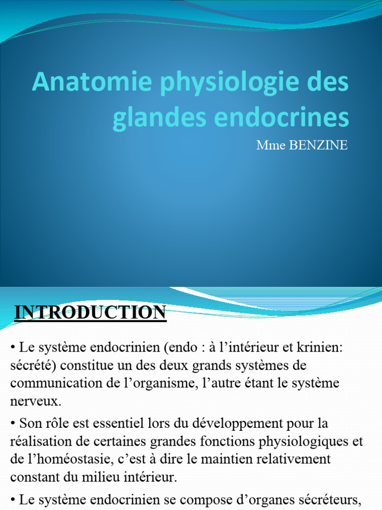 Anatomie Physiologie Des Glandes Endocrines | PDF