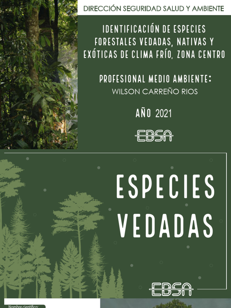 Cartilla Especies Forestales EBSA - Compressed | PDF | Trees