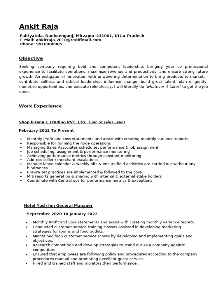Ankit Raja Resume | PDF
