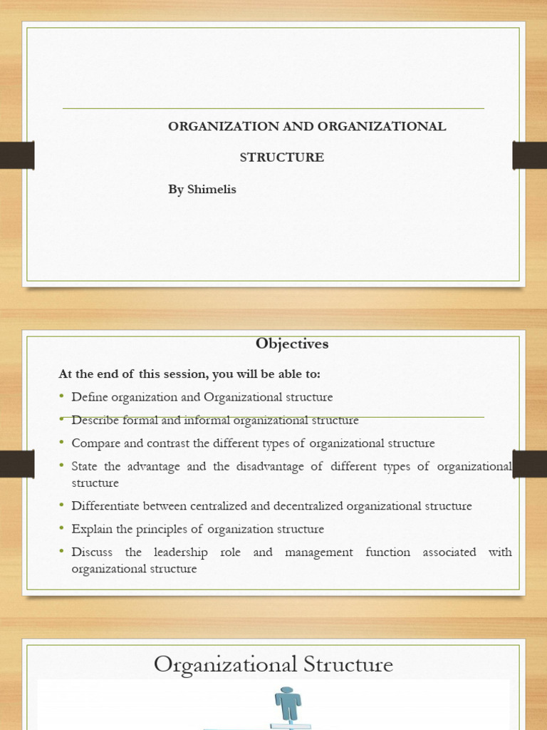 Organizational Structures | PDF