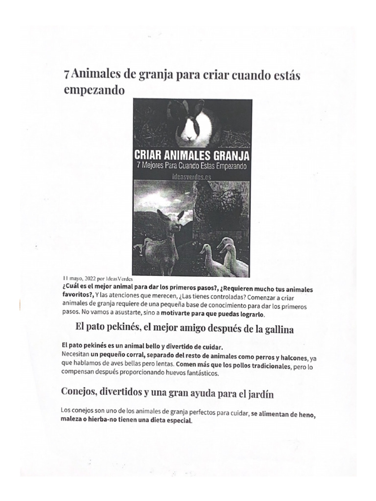 Granja Reading | PDF