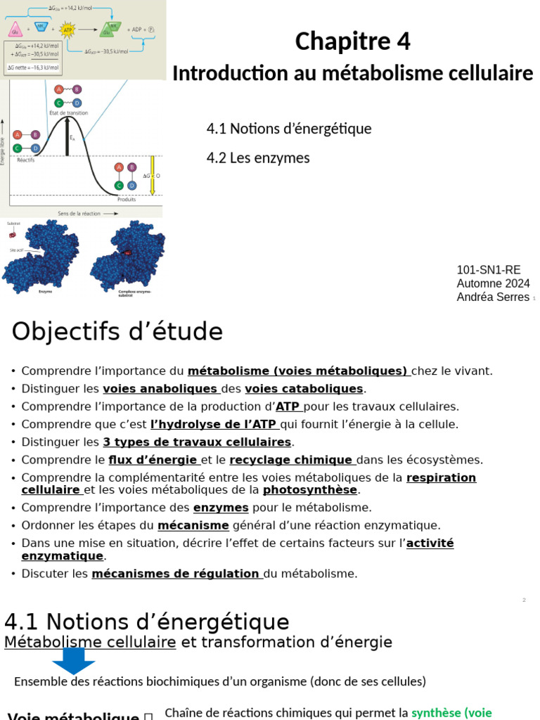 Chapitre 4 - Metabolisme Cellulaire Et | PDF