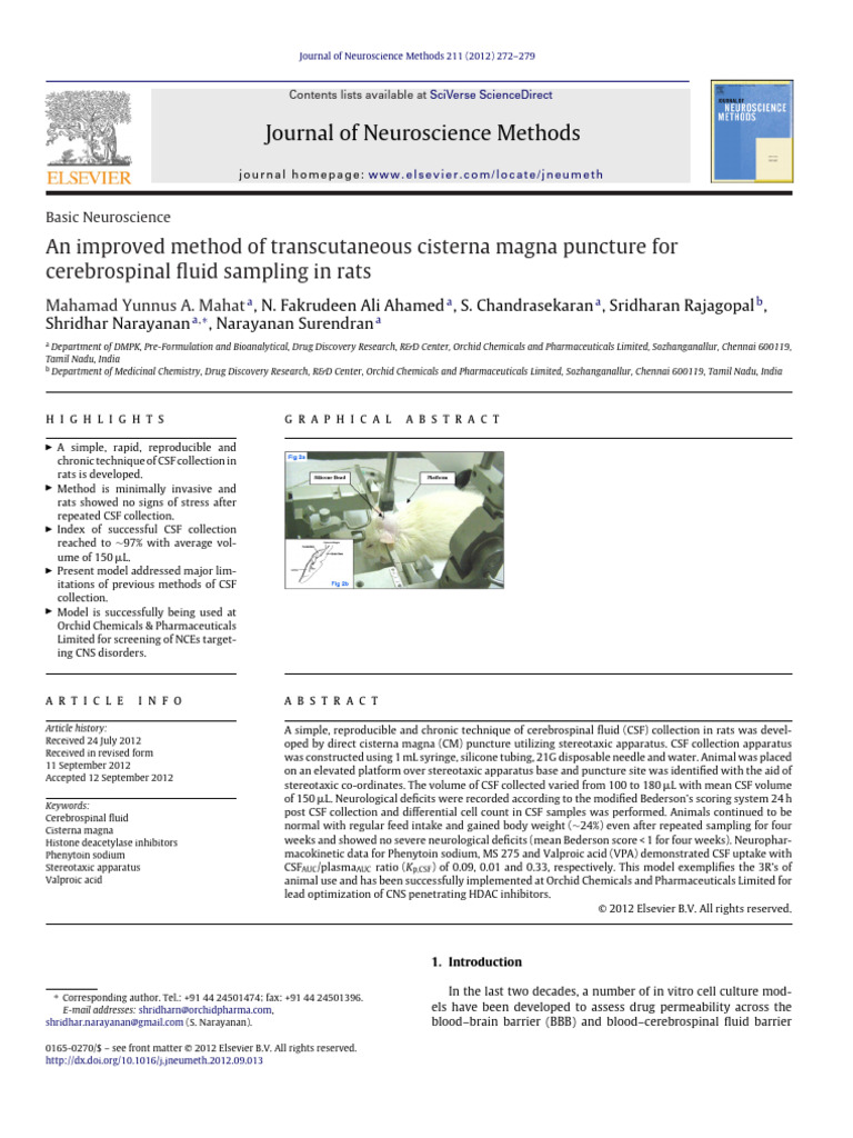 CSF Collection Rats With Stereo | PDF