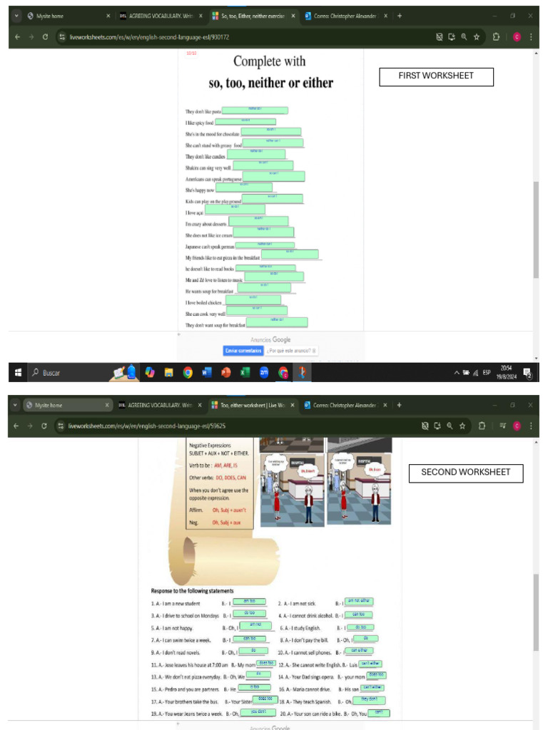Zulca Christopher - Agreeing and Disagreeing Vocabulary | PDF