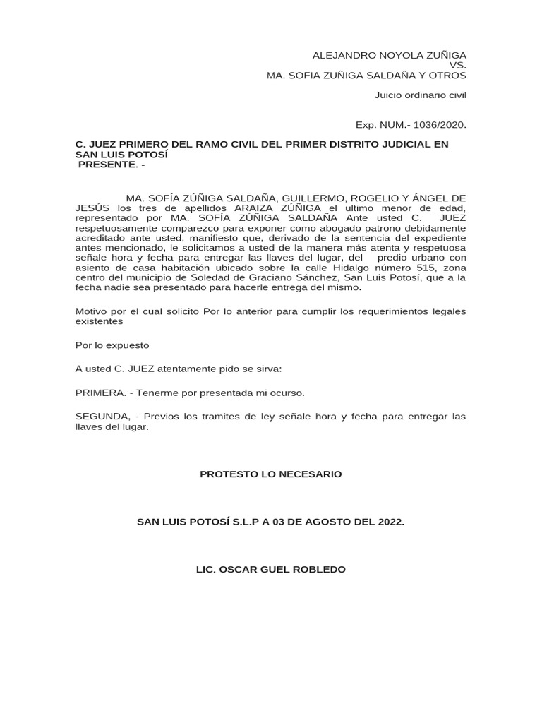 Alegatos Ma. Sofia PROMOCION | PDF