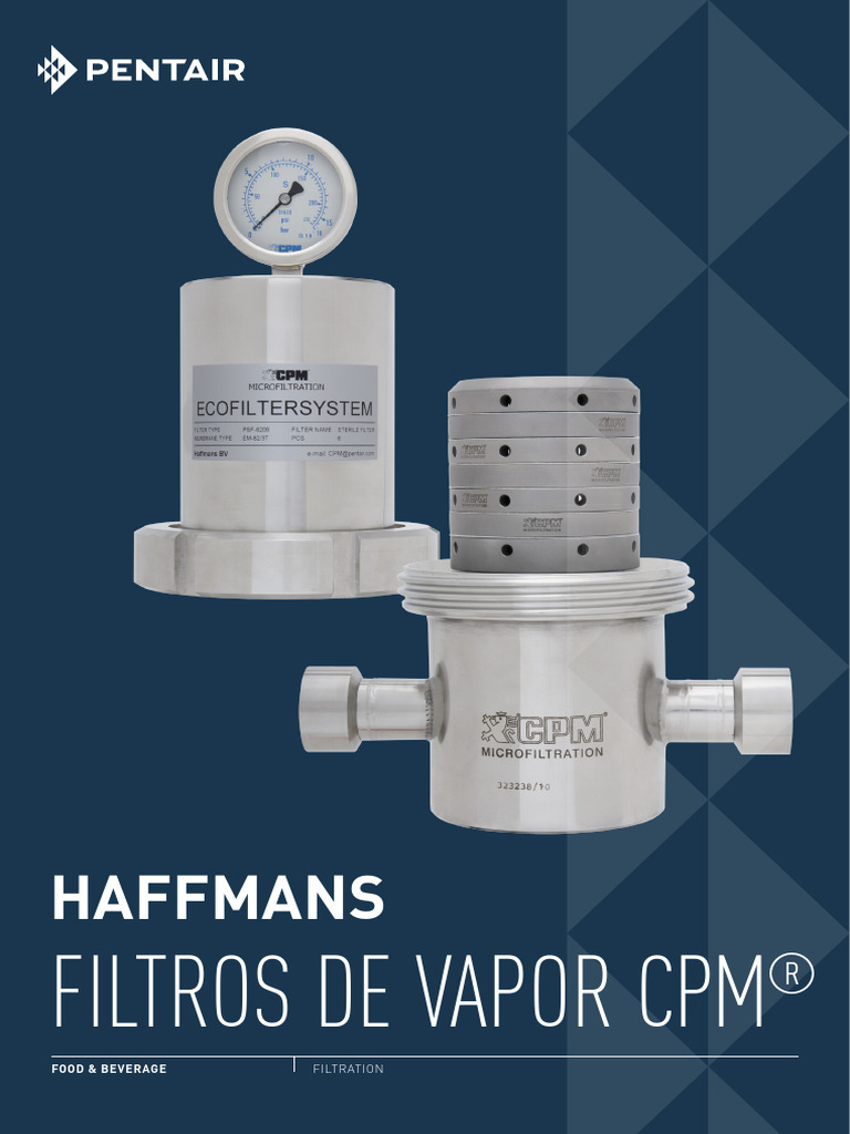 Steam-Filters CPM PDF Haffmans Brochure SP | PDF