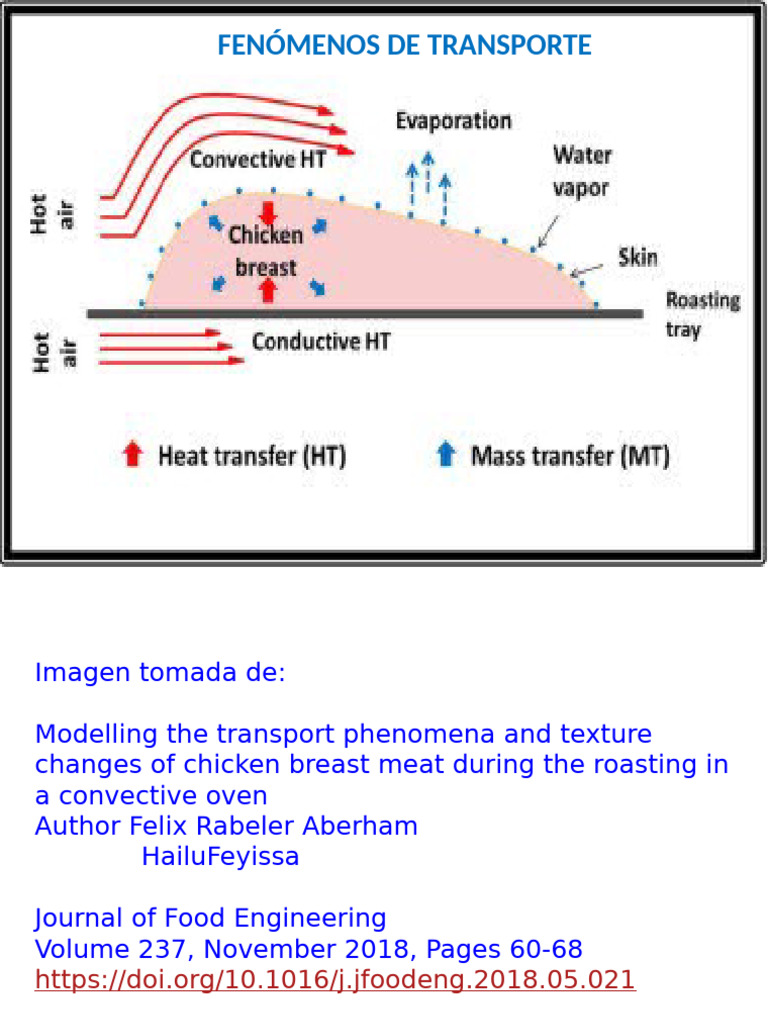 Fenomenos | PDF | Importar | Viscosidad