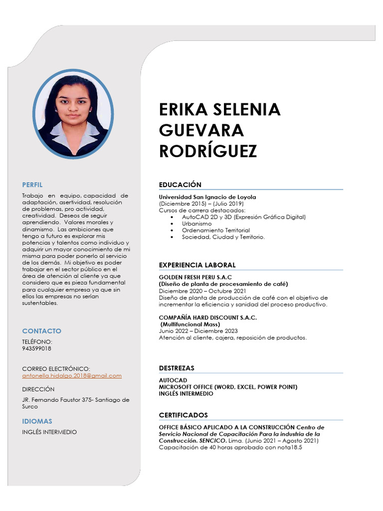 Curriculum Erika 2024 | PDF | Microsoft Excel | Arte