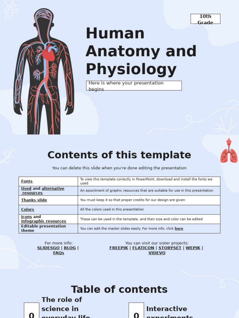 Human Anatomy and Physiology - 10th Grade by Slidesgo | PDF