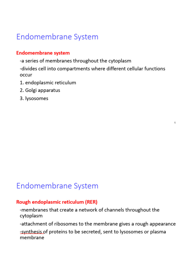 13-Endomembrane System L2 - Restore - Restore | PDF