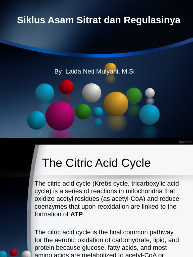 Biokimia 4 Siklus Asam Sitrat | PDF