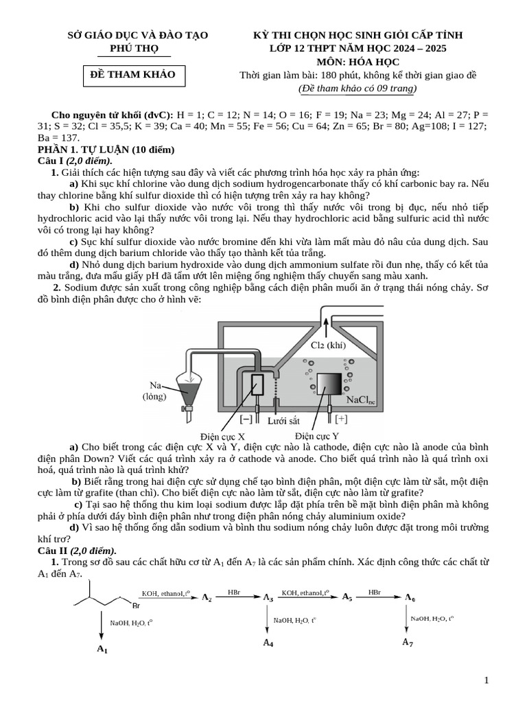 2024-2025 HSG 12 Phú Thọ - Đề Tham Khảo | PDF
