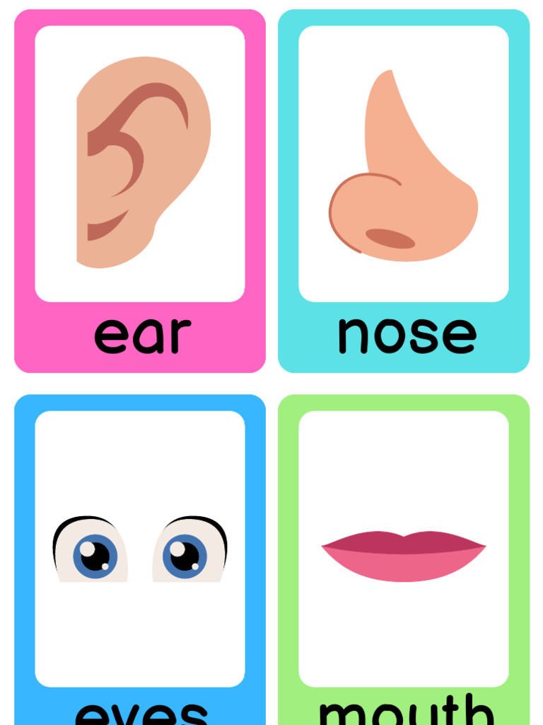 Illustrative Colorful Body Parts Flashcards | PDF