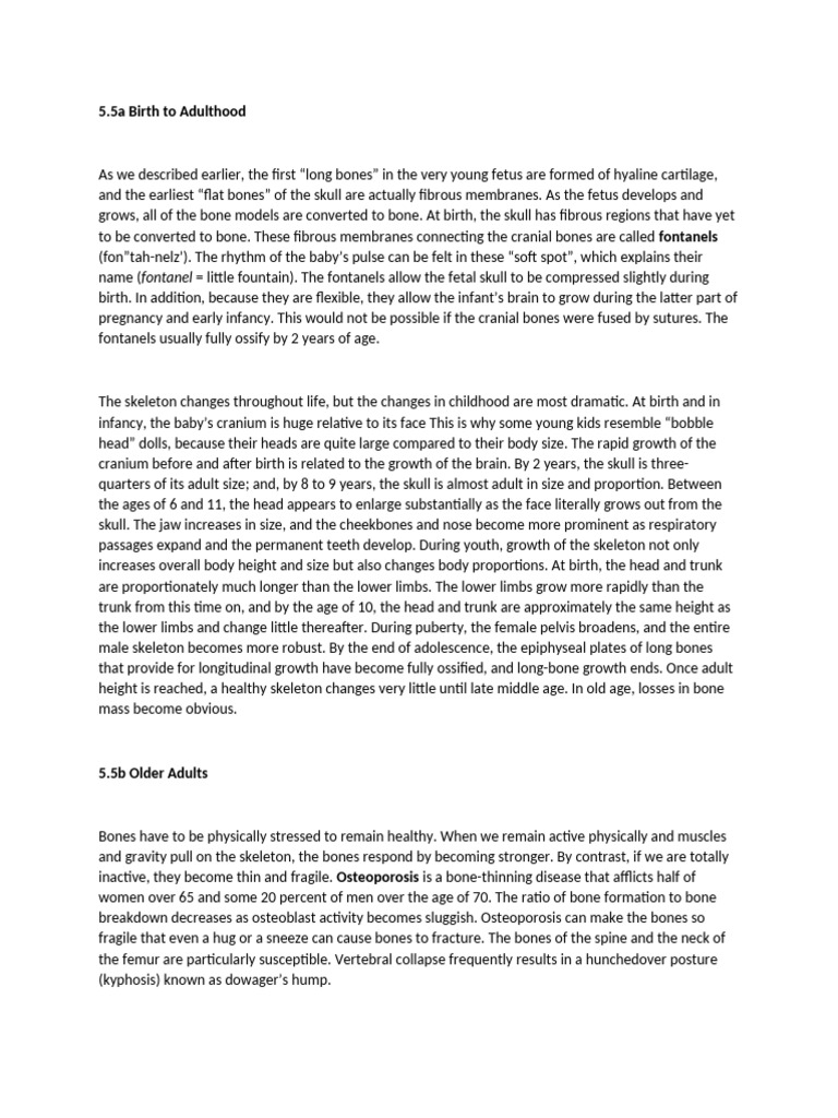 AnaPhy CHAPTER 5.5 (Birth To Adulthood & Older Adults) | PDF