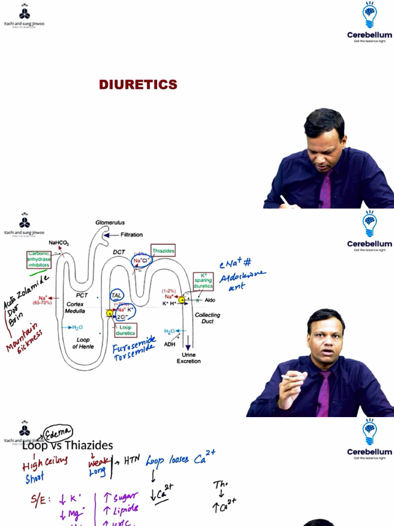 Diuretics and CVS | PDF