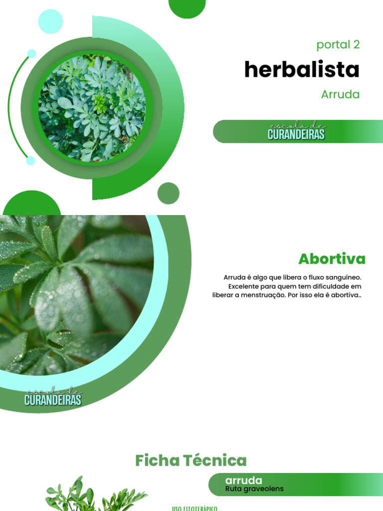 Herbalista - Arruda | PDF