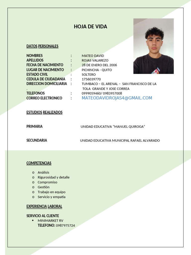 CurriculumVitae Mateo Rojas | PDF