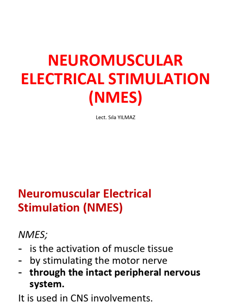 Lesson Nmes | PDF