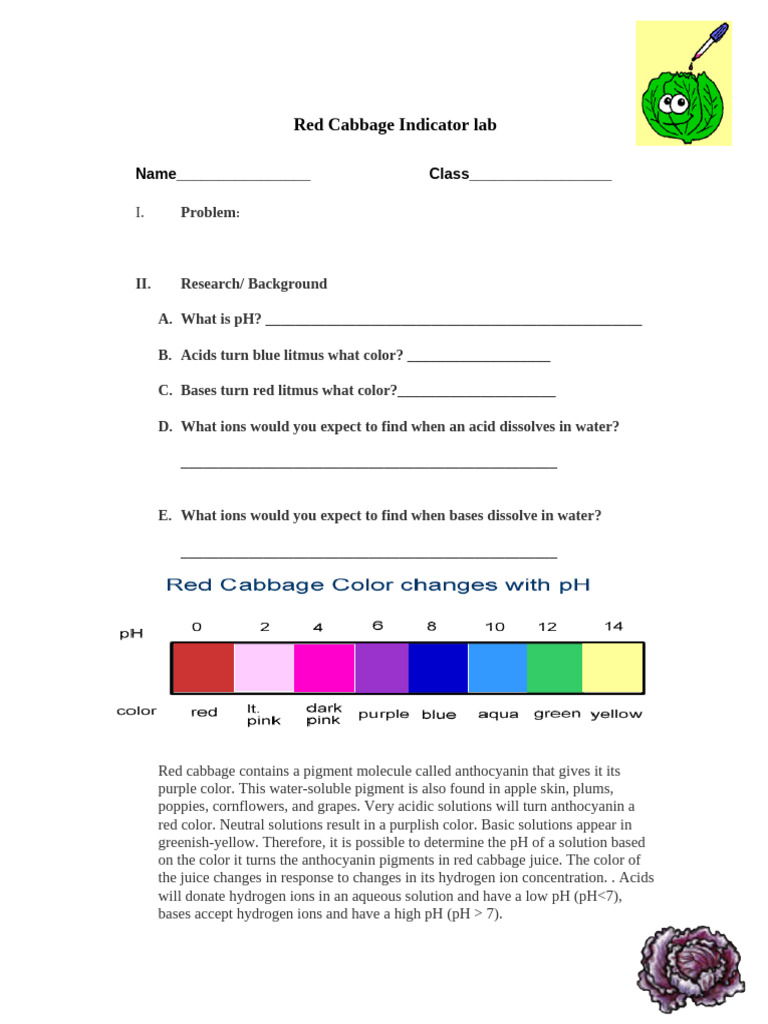 Red Cabbage Lab | PDF